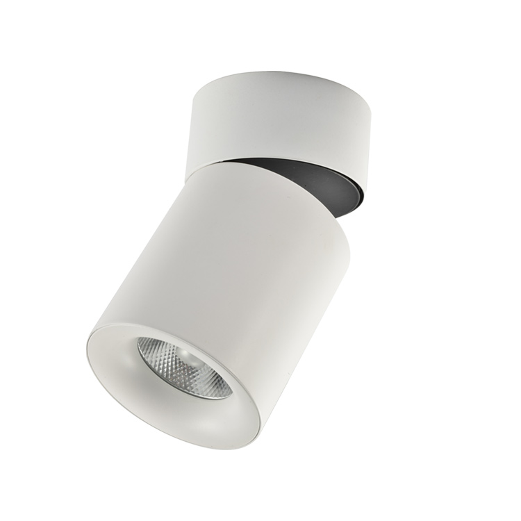 Adjustable Downlight 7W 9W Ip54 Round Surface Wall Mounted