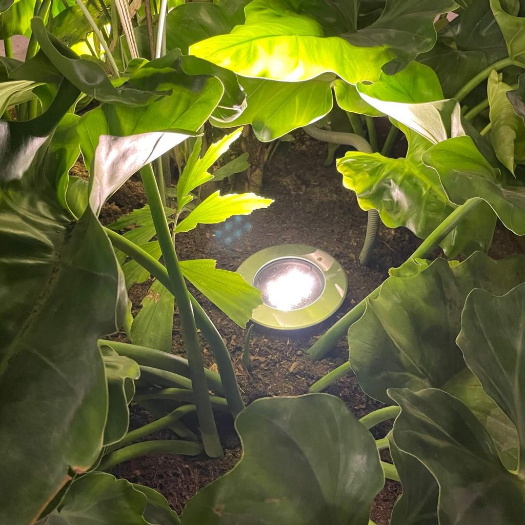 Installation Underground lights System and preventives